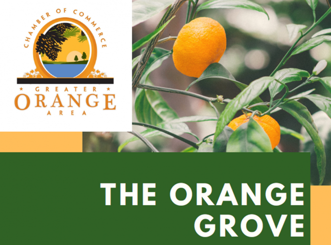 Orange Chamber of Commerce Creates Interactive Orange Grove Map ...